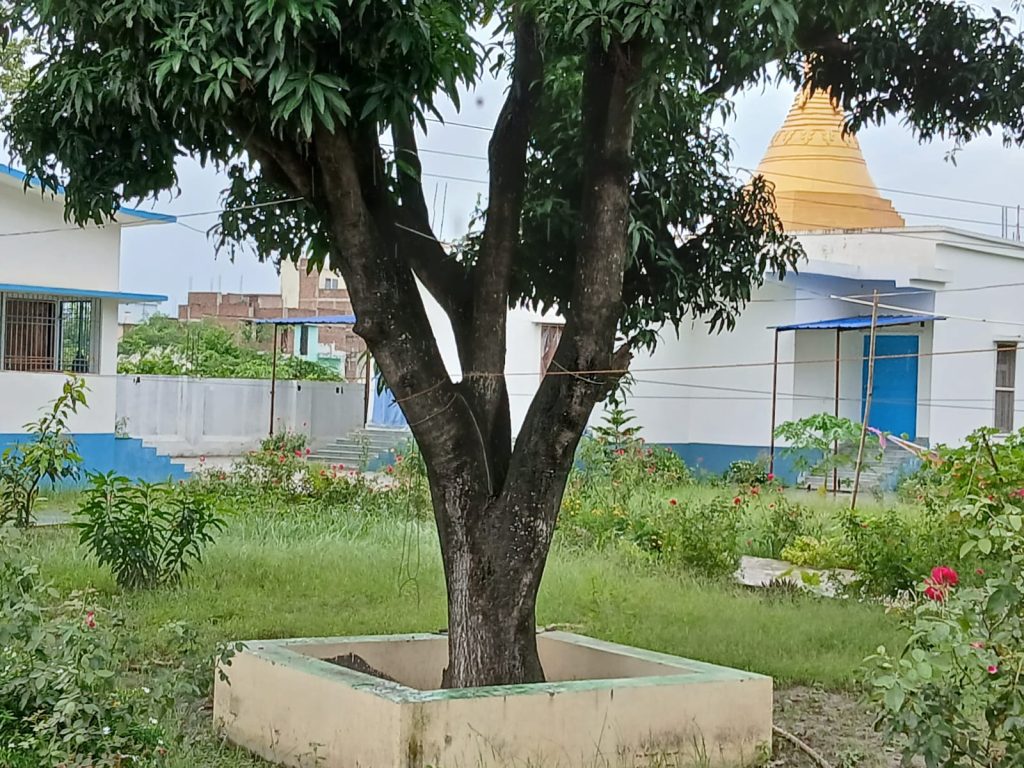Transformative Vipasyana meditation at Chakia Centre in Champaran | Bihar